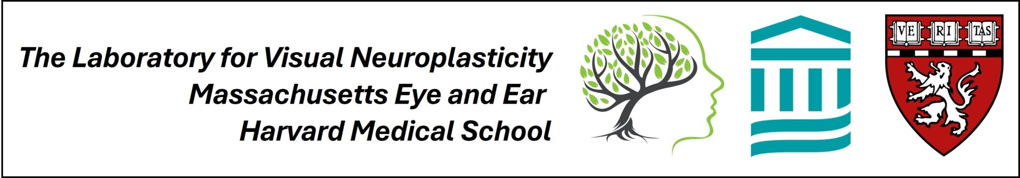 The Laboratory for Visual Neuroplasticity – at Massachusetts Eye and ...